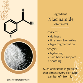 Ingredient Spotlight: Niacinamide – The Natural State Skincare Co.